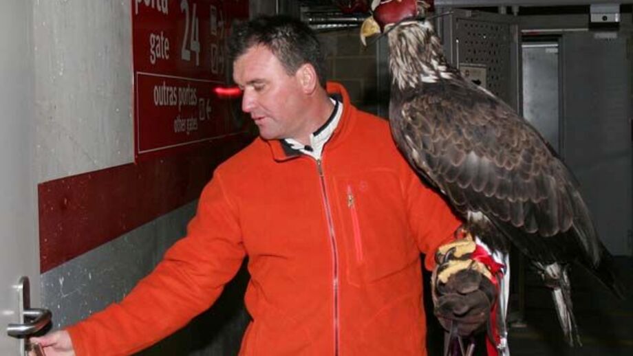 Juan Bernabé: «Foi tudo uma armadilha» - Benfica - Jornal Record