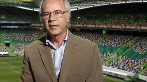 Godinho Lopes: «Sá Pinto é o meu técnico para o triénio» - Sporting ...