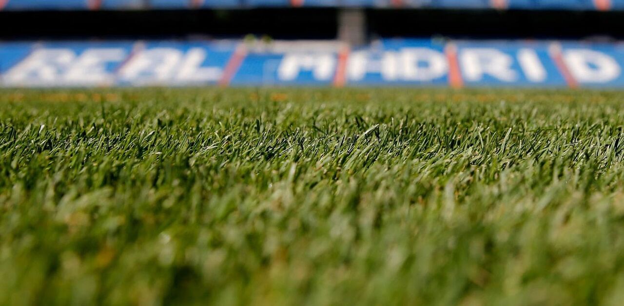 Aí está o novo relvado 'híbrido' do Real Madrid - Fotogalerias - Jornal ...