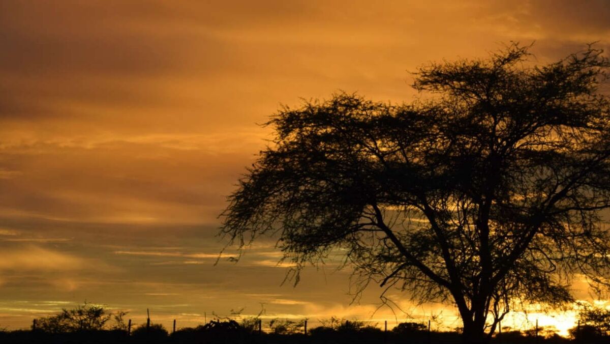Descubra a Namíbia. Vale mesmo a pena! - Fotogalerias - Jornal Record