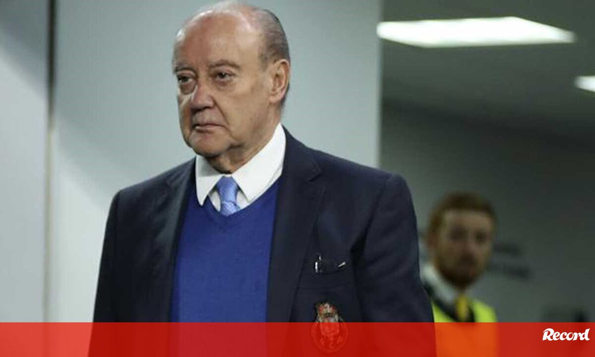 Dragões contestam nomeação de delegada Helena Relvas para o jogo do ...