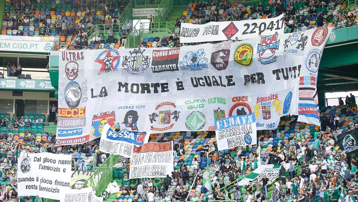 A homenagem das claques do Sporting a Ficcini num jogo especial para os ...