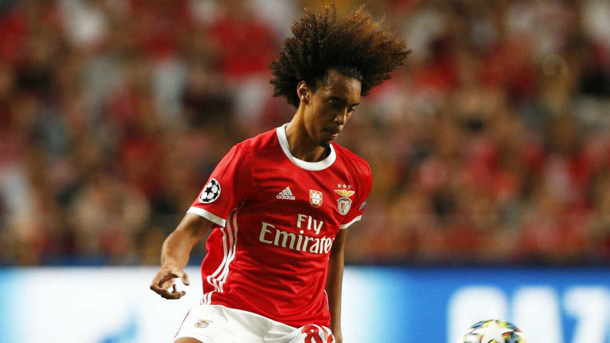 Tomás Tavares: «Foi um momento muito especial» - Benfica - Jornal Record