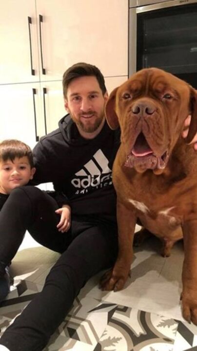 A foto do gigantesco cão de Messi que toca toda a gente - Fotogalerias ...