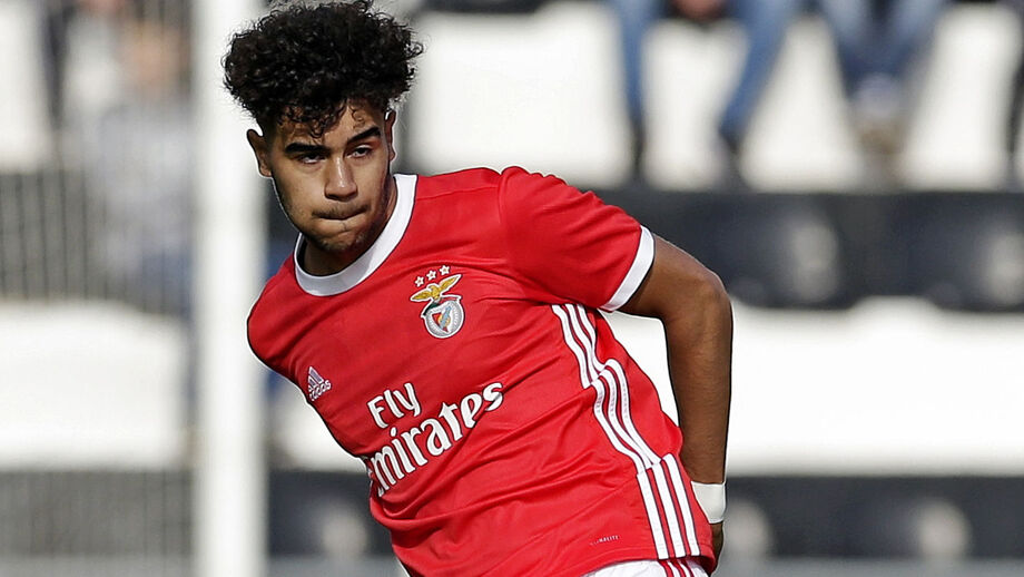 Rafael Brito visto como ‘6’ de elite - Benfica - Jornal Record