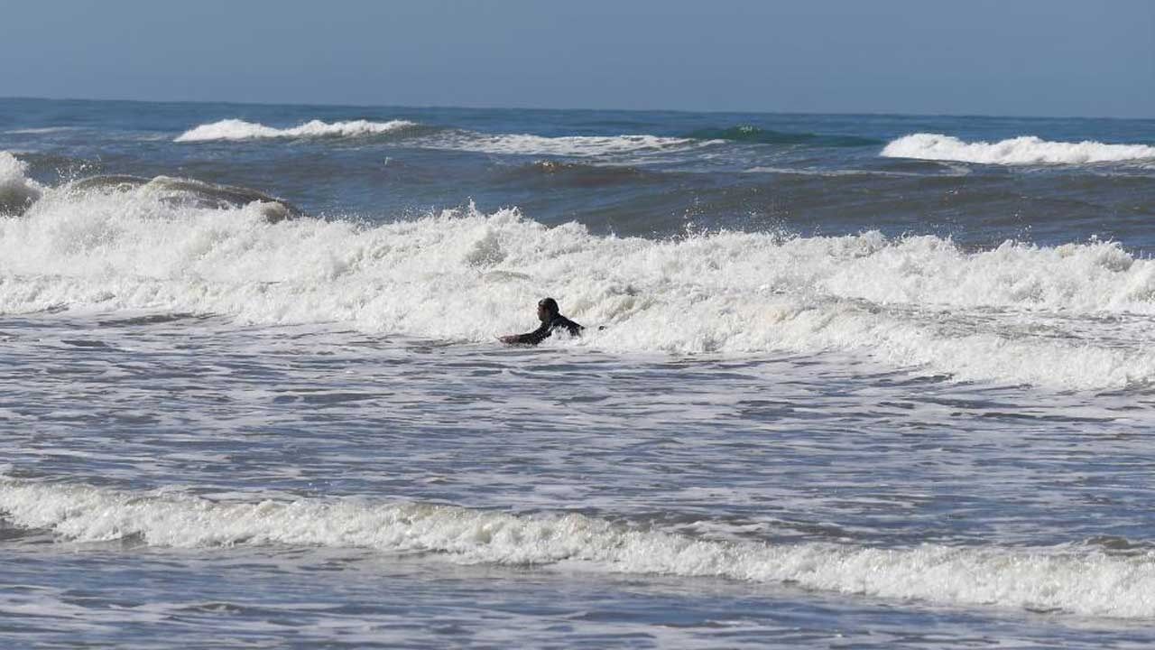Jovem surfista e shaper californiano morre após ataque de tubarão ...
