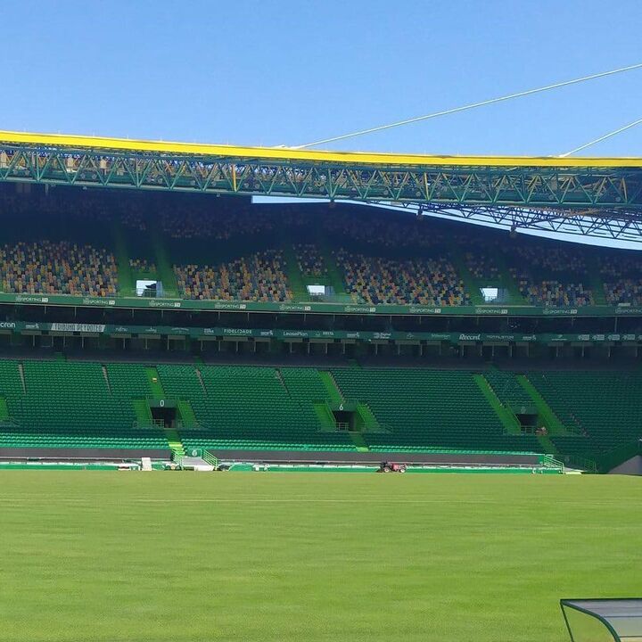 Estádio José Alvalade já recebeu o novo relvado: veja as imagens ...