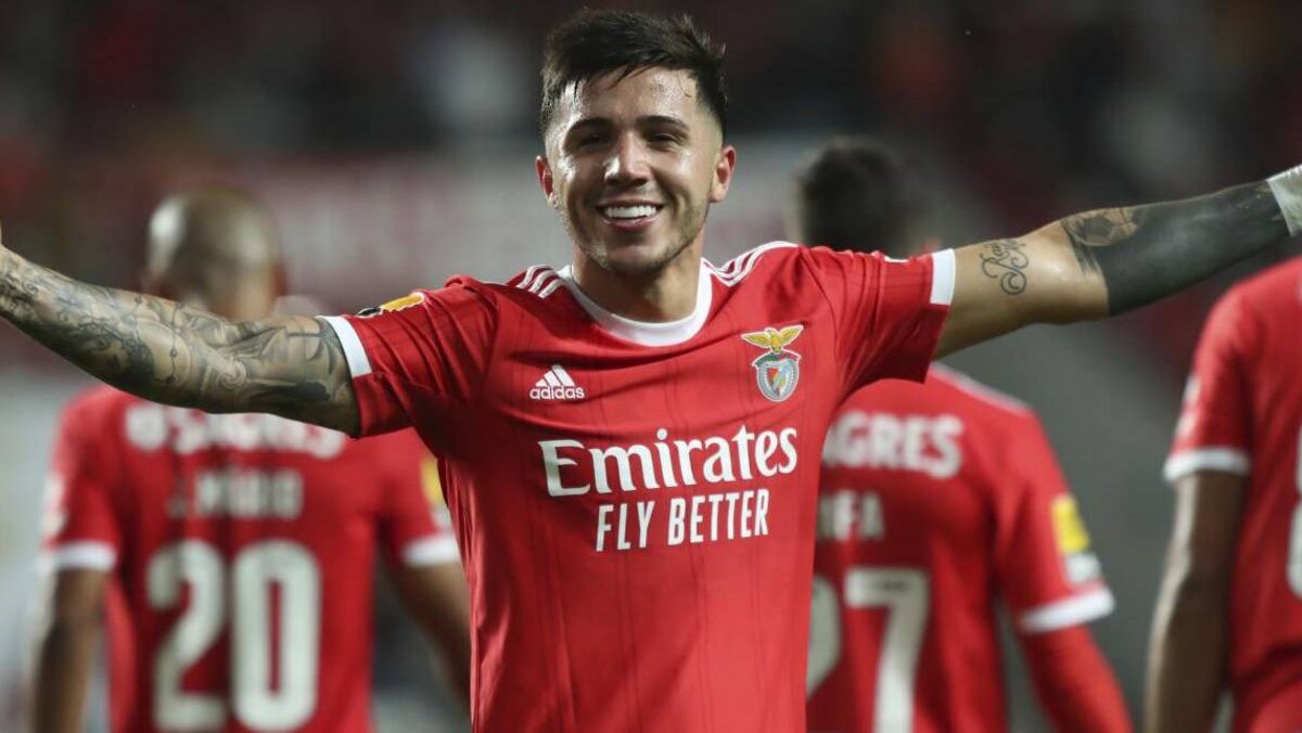 Evelio Cardozo: «Não esperava que fosse tão rápido mas Enzo vai ...