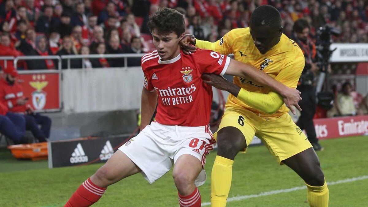 Colinho para João Neves: médio muito acarinhado na estreia na Luz - Benfica - Jornal Record