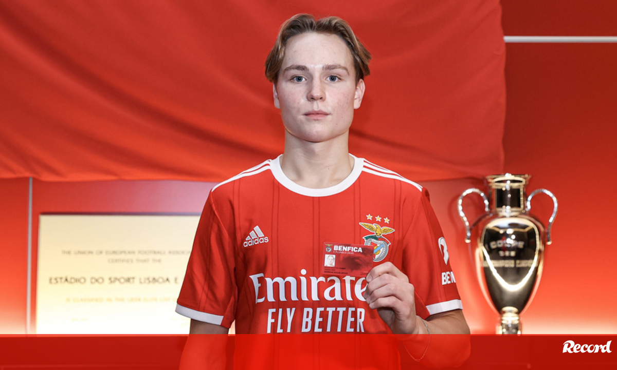 Benfica oficializa contratação de Andreas Schjelderup - Benfica ...