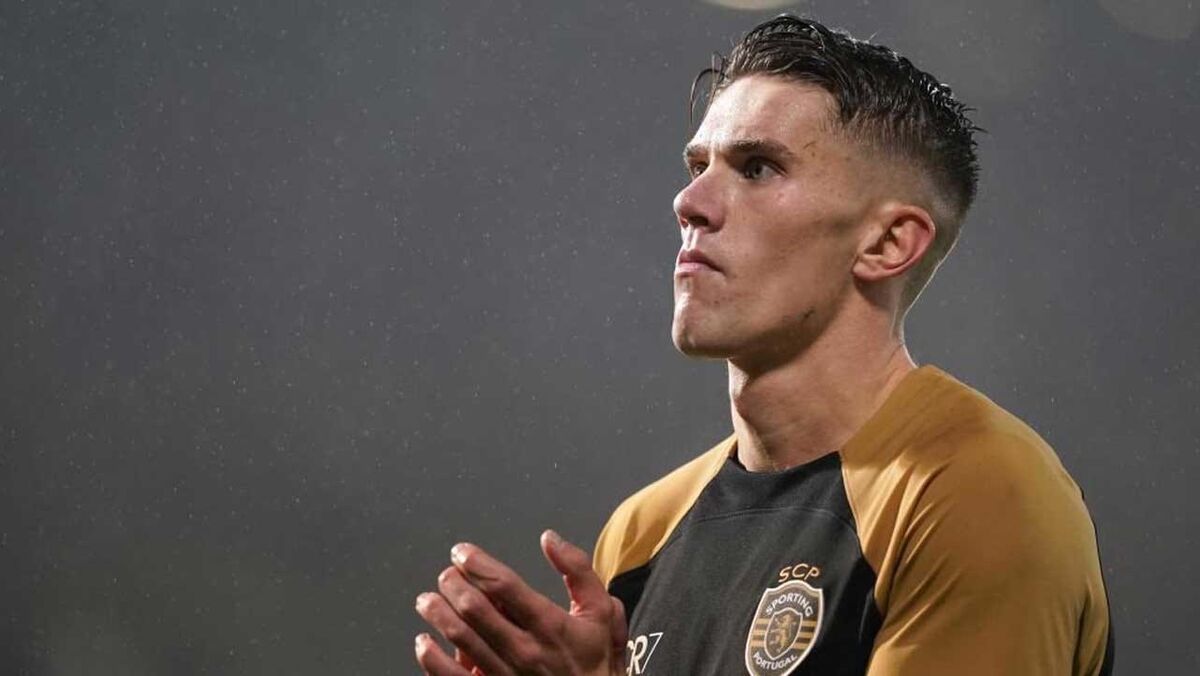 Gyökeres nomeado para melhor avançado de 2023 na Suécia - Sporting ...