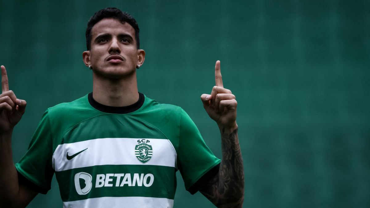 Pontelo ganhou à favela: conheça a história do reforço do Sporting ...