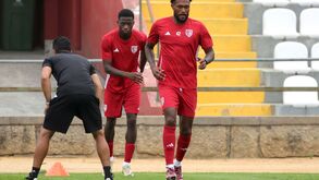 Devenish: «Voltar a Portugal é uma sensação muito boa» - AVS SAD ...