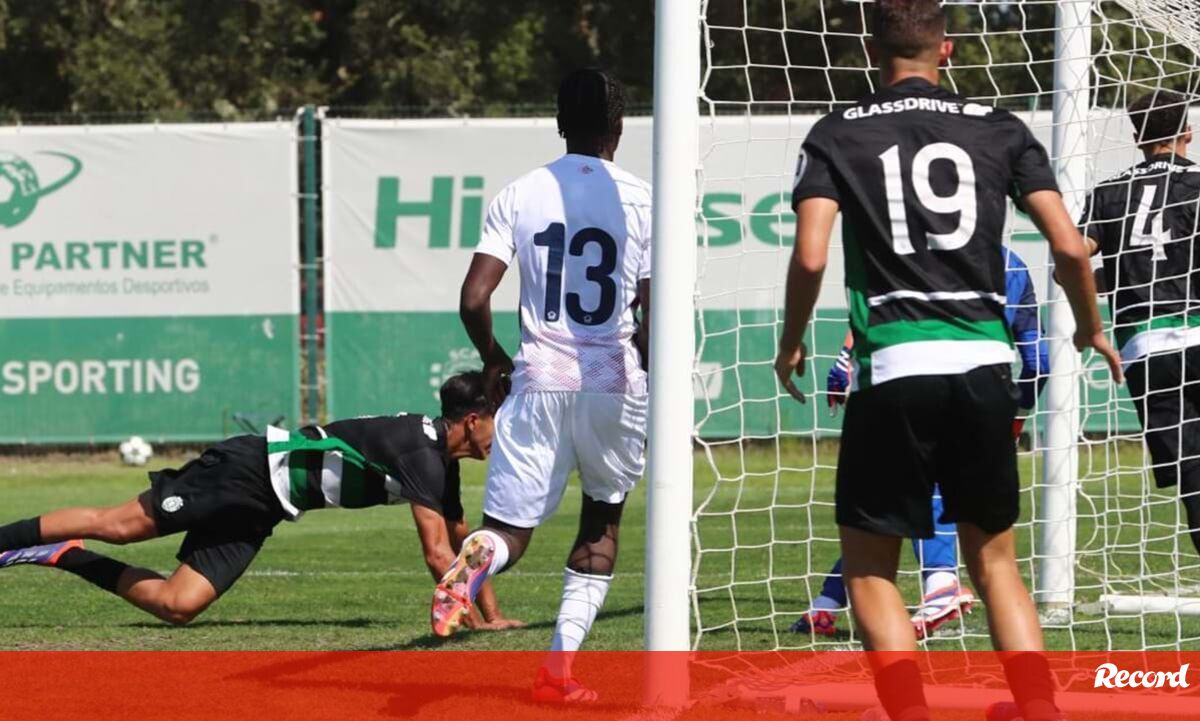 A crónica do Sporting-Lille, 2-2: felicíssimo(s) ao cair do pano - Liga ...