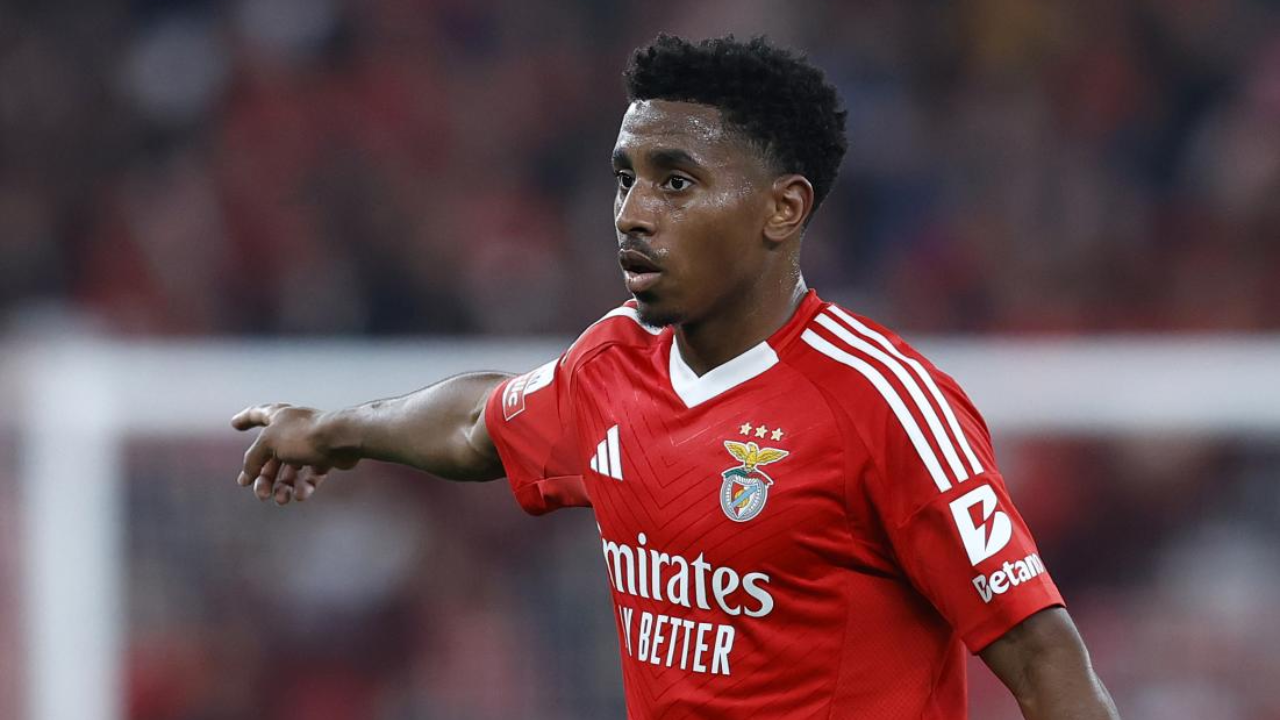 Leandro Barreiro e os reforços do Benfica: «Primeira impressão positiva ...