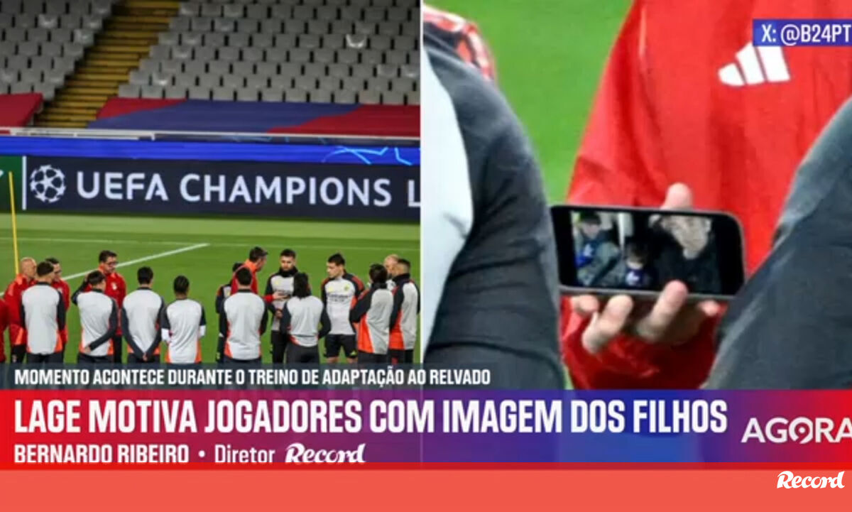 Bernardo Ribeiro: «Este já não é o Gyökeres que jogava 45 minutos e ...