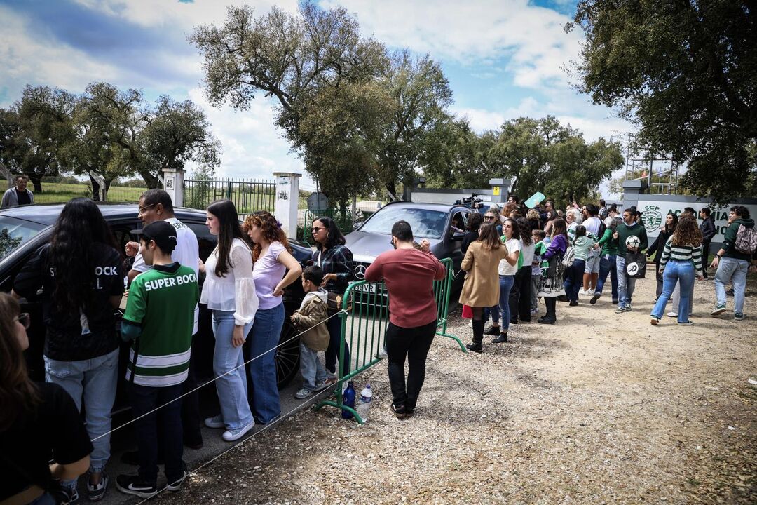 Claques do Sporting unem-se à volta da equipa: «Leões, é hora do ...