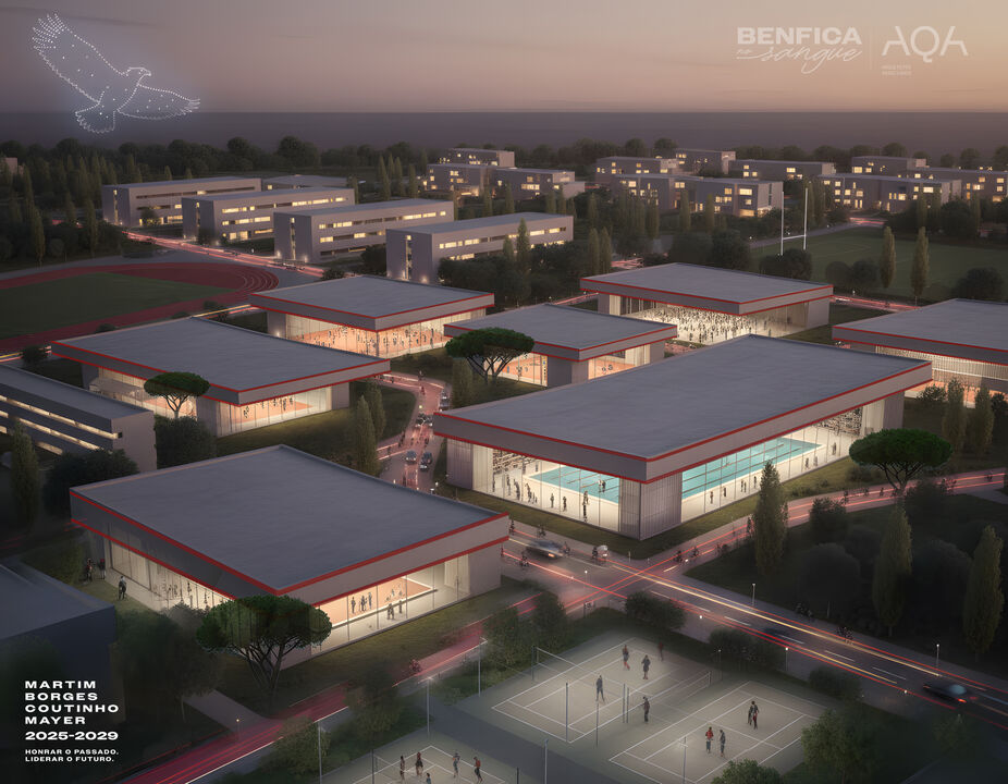 Estádio para a final do Mundial, os 600 senhorios e um inferno da Luz ...