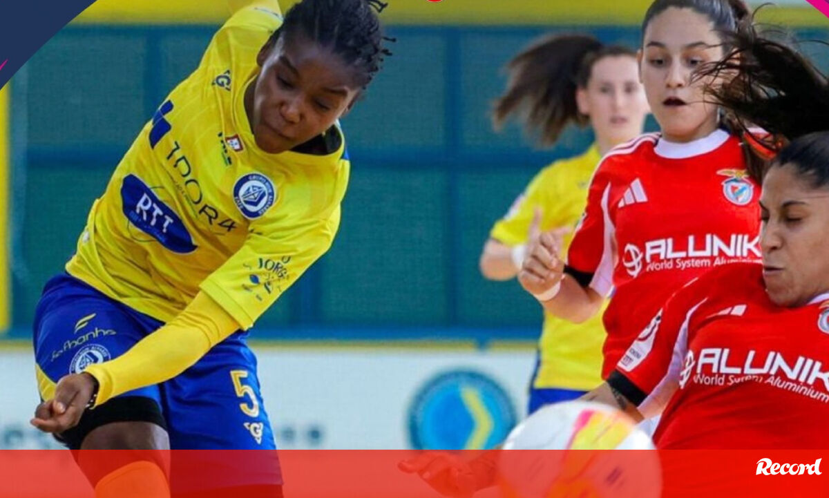 Desacatos entre jogadoras e adeptos no Nun'Álvares-Benfica: cinco ...
