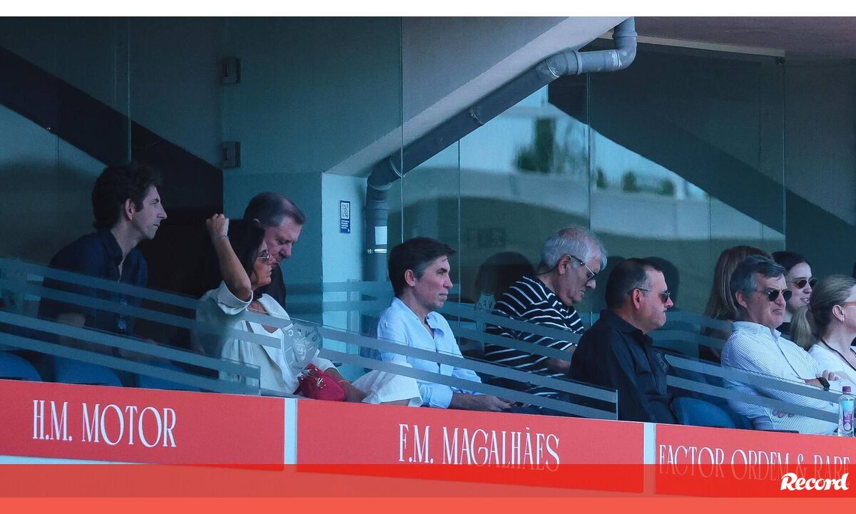 Presidente do Gil Vicente assistiu à equipa feminina no Estádio Cidade ...