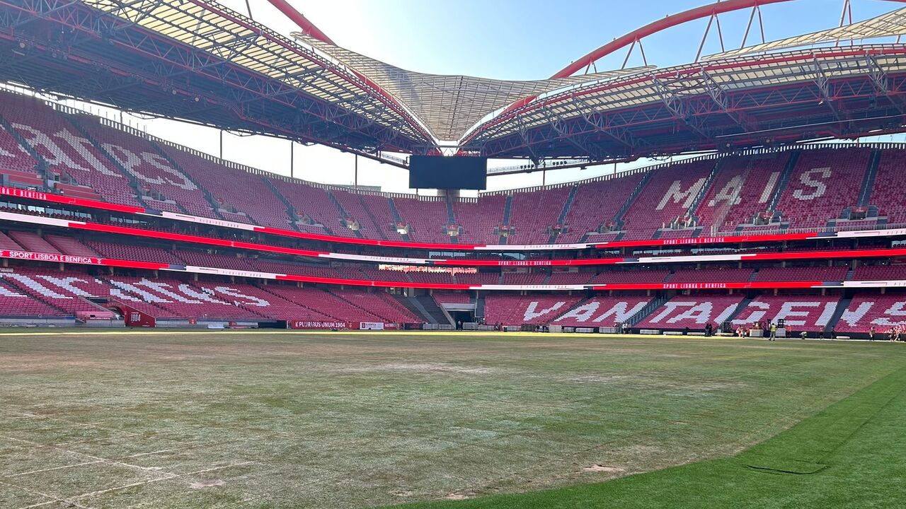 Assim ficou o relvado do Estádio da Luz depois dos concertos de Bad ...